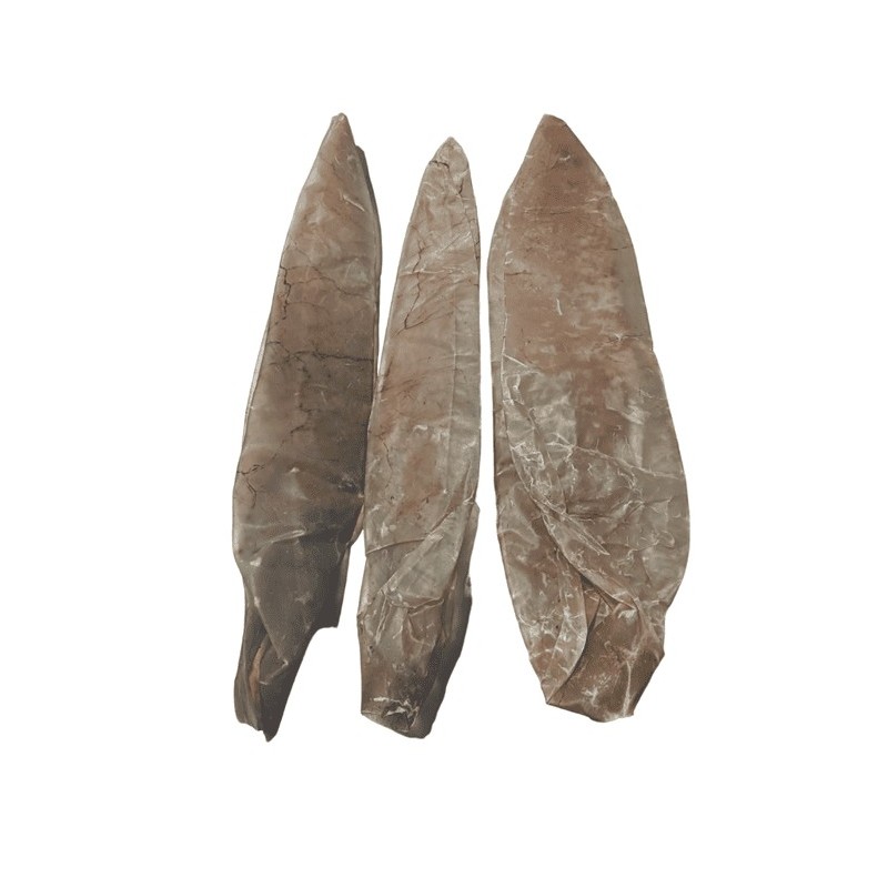 Fresh Raw Natural Buffalo Belly 40cm